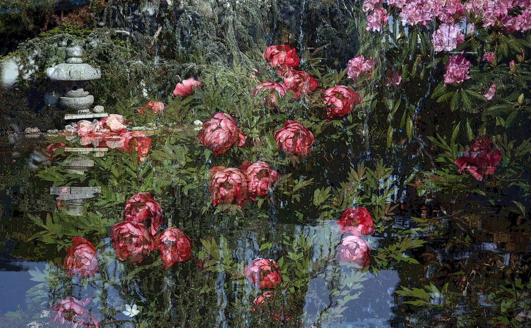 Japanese Garden with Peonies | Smithsonian Photo Contest | Smithsonian ...