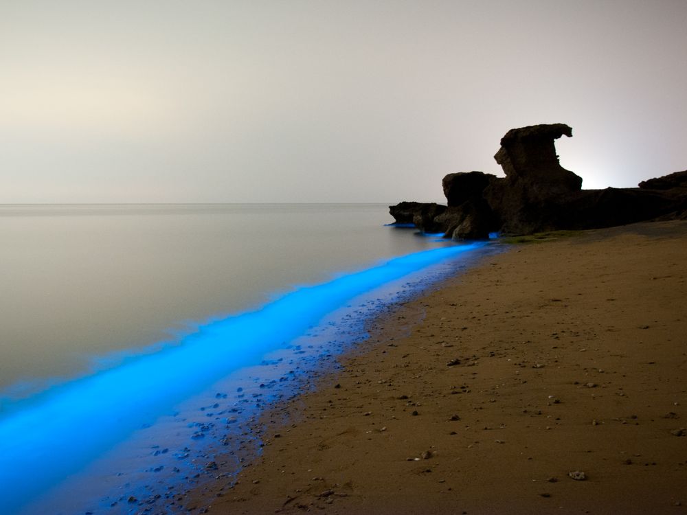 Larak | Smithsonian Photo Contest | Smithsonian Magazine