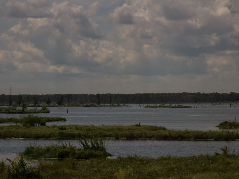 Brackish waters | Smithsonian Photo Contest | Smithsonian Magazine