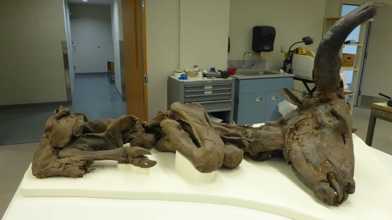 steppe bison extinction date