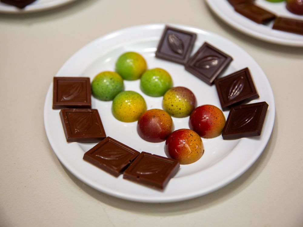Drink Coffee, Eat Chocolate, Save Birds! | Smithsonian Voices ...