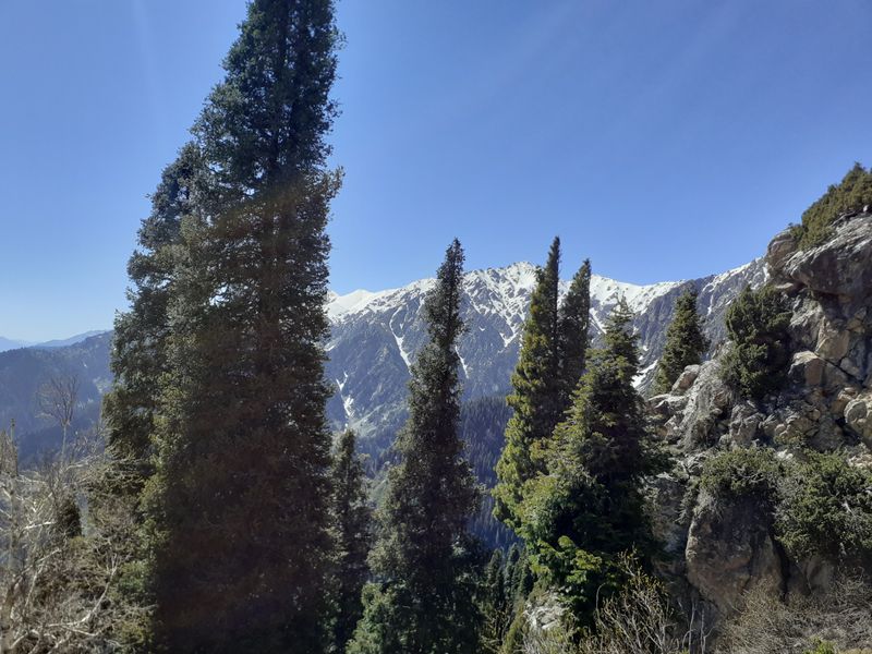 Tora Bora Mountain | Smithsonian Photo Contest | Smithsonian Magazine