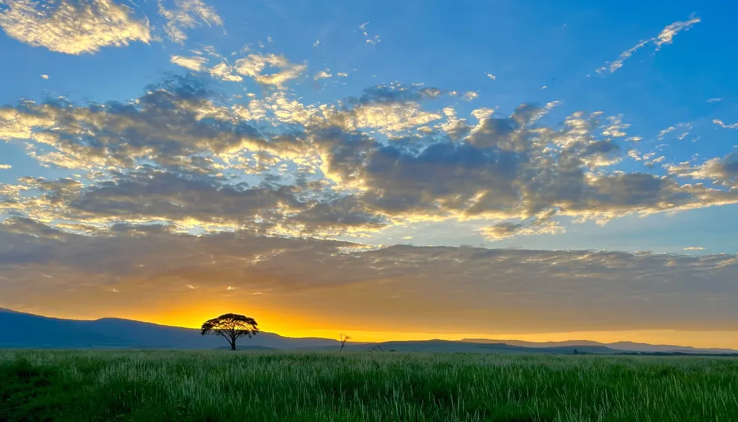 A Safari Sunset | Smithsonian Photo Contest | Smithsonian Magazine