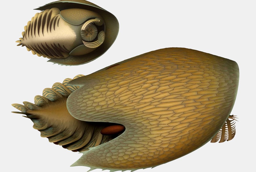 Prehistoric Animals Found Alive Today