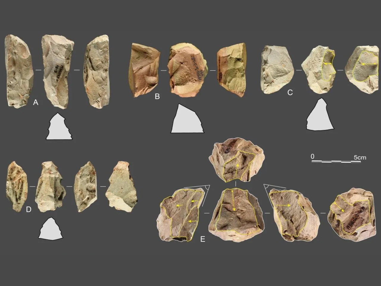 Neanderthals Hunting Tools