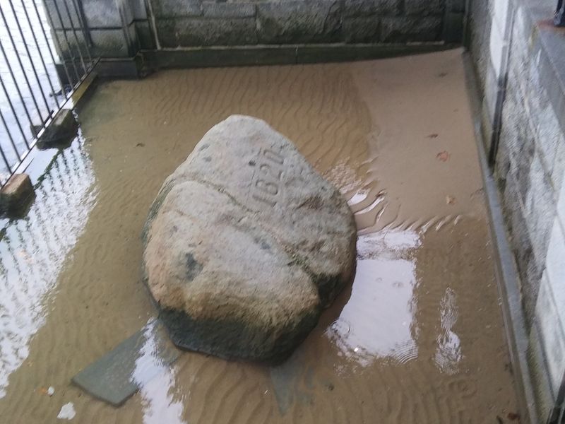 Plymouth Rock | Smithsonian Photo Contest | Smithsonian Magazine