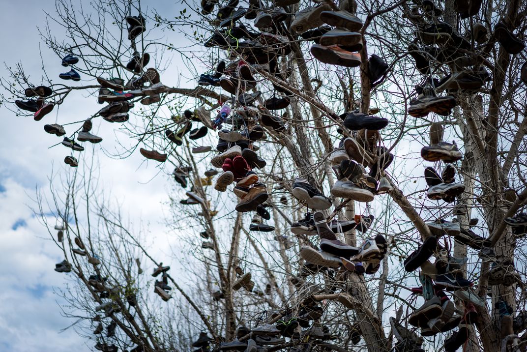 Thistle Shoe Tree | Smithsonian Photo Contest | Smithsonian Magazine