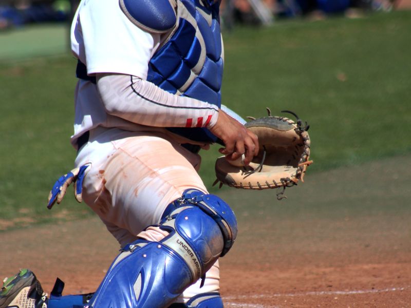 Beaver Ready | Smithsonian Photo Contest | Smithsonian Magazine
