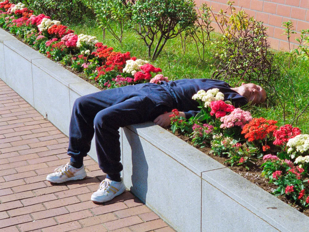 A man resting in a flower bed in Japan. | Smithsonian Photo Contest ...