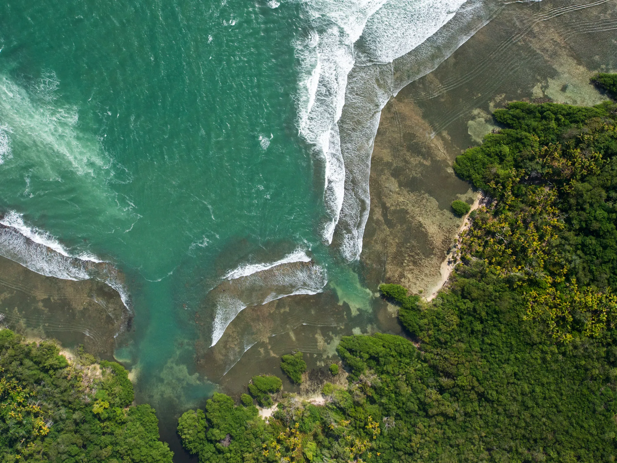 The Key to Ocean Conservation May Lie with the Tropical Majority ...