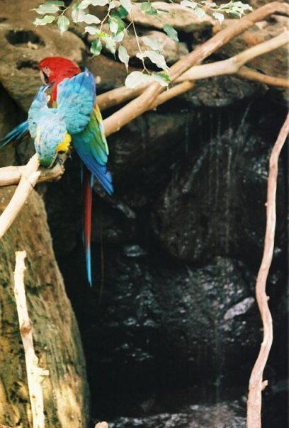 In an aviary in Dallas, Texas. | Smithsonian Photo Contest ...