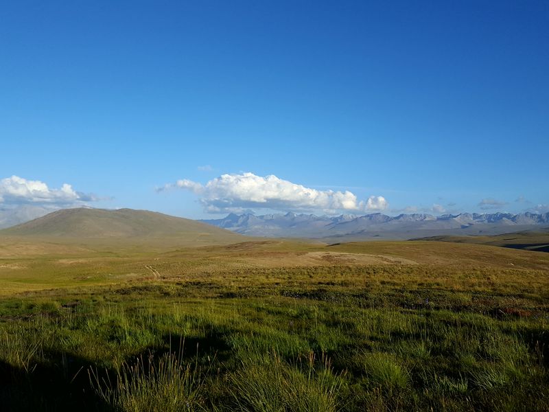deosai national park | Smithsonian Photo Contest | Smithsonian Magazine