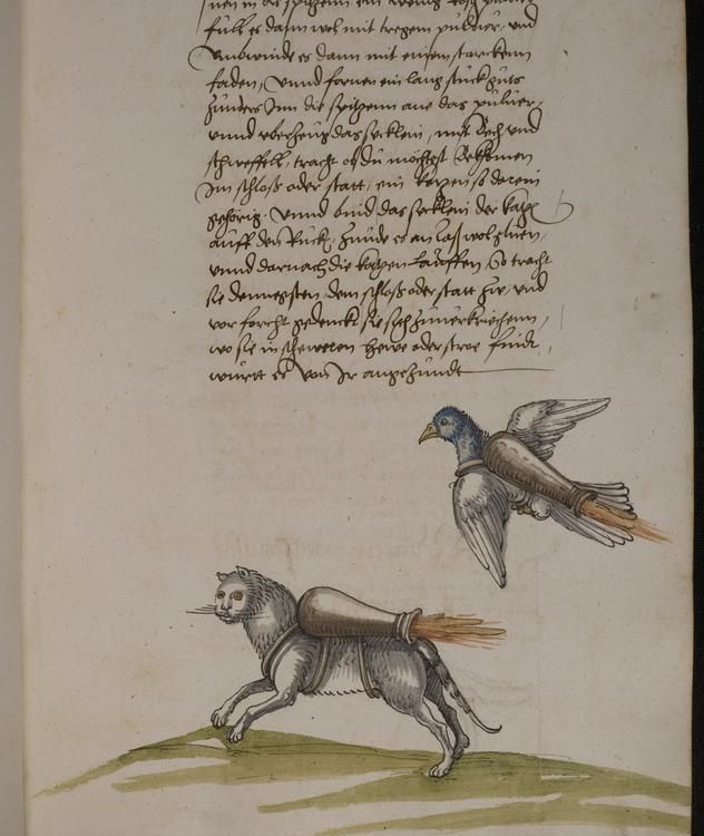 Incendiary Bats, Rocket Cats: Military Strategists Will Dream of ...