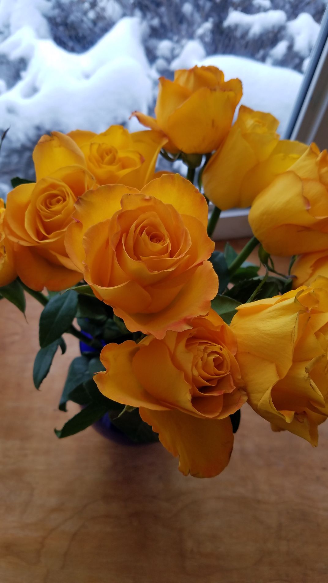 Lovely Roses | Smithsonian Photo Contest | Smithsonian Magazine