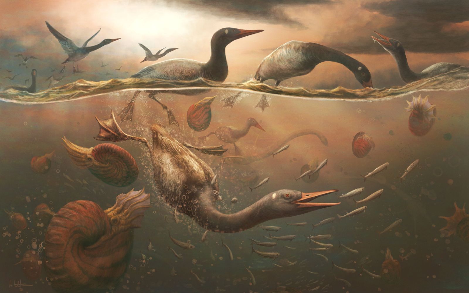 Paleontologists Discover Fossil of the Oldest Known Modern Bird—but It ...