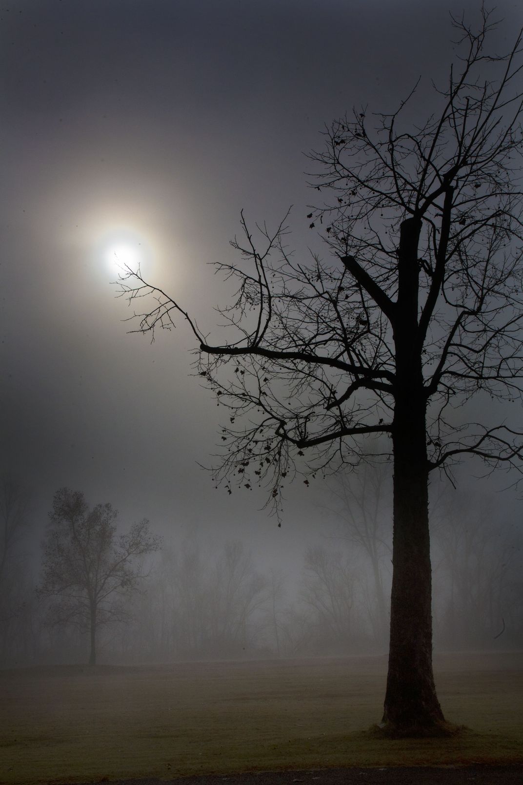 Foggy morning along the Rivercliff golf course | Smithsonian Photo ...