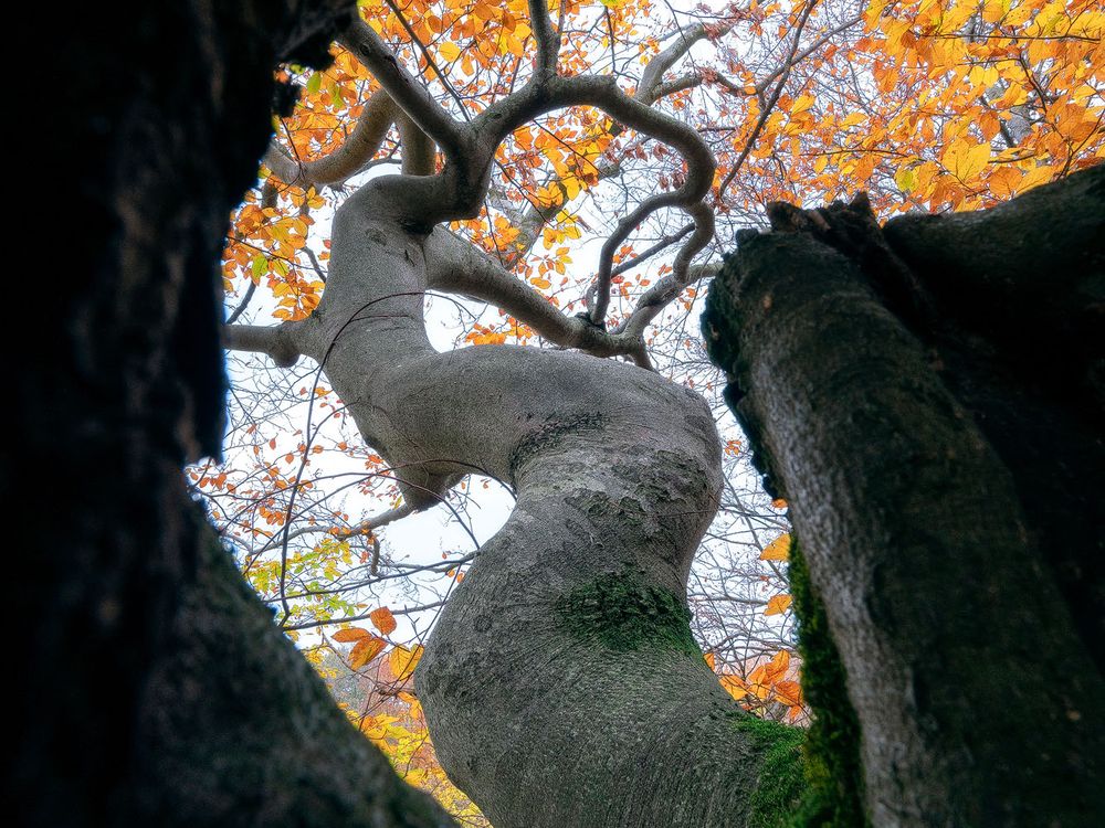 From the inside out | Smithsonian Photo Contest | Smithsonian Magazine