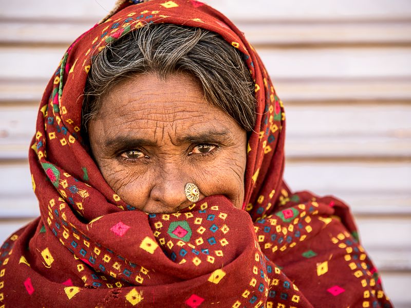 Women from Gujrat | Smithsonian Photo Contest | Smithsonian Magazine