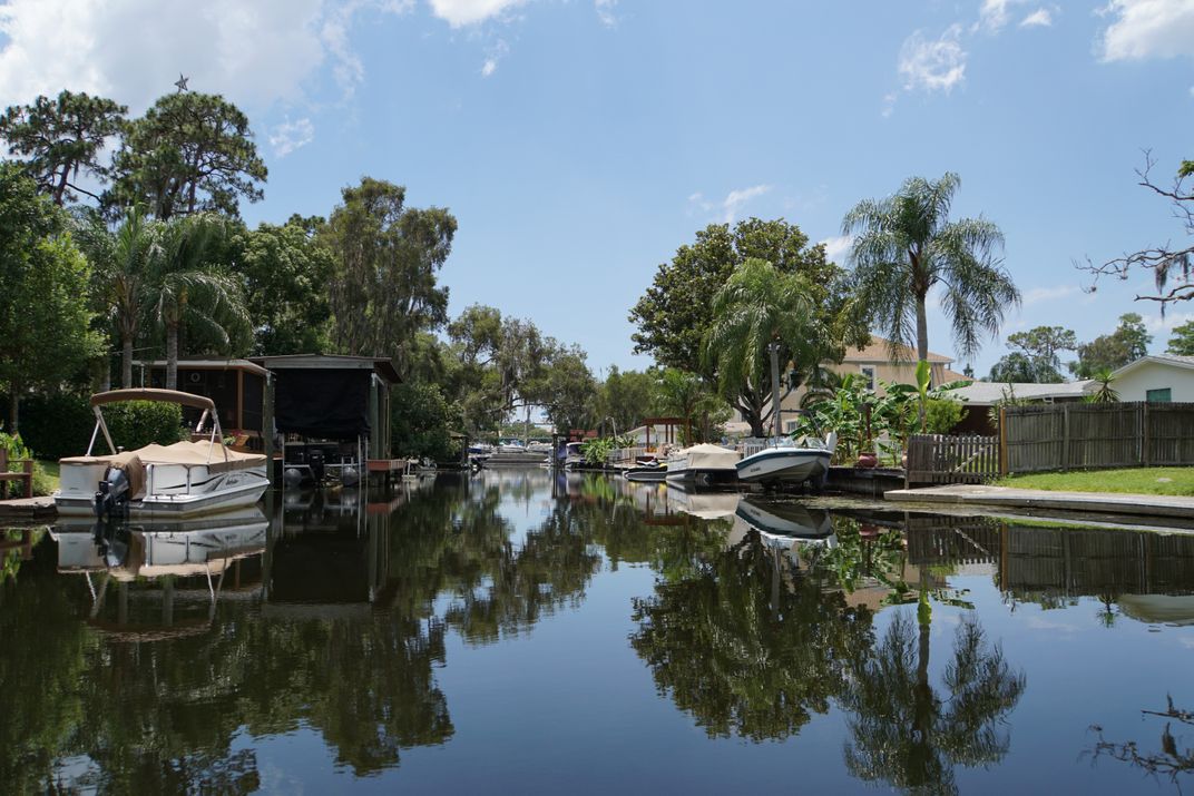 Reflection on Tarpon Lake | Smithsonian Photo Contest | Smithsonian ...