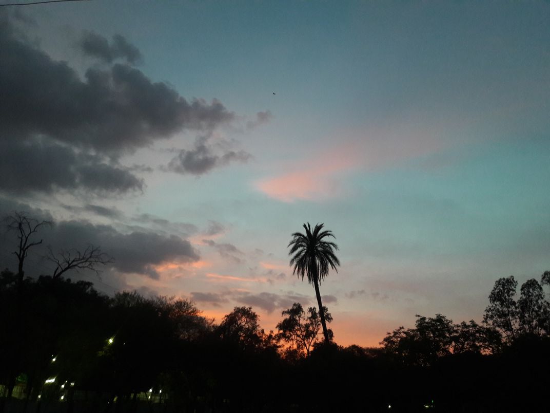 Combination of colours in the Sky | Smithsonian Photo Contest ...