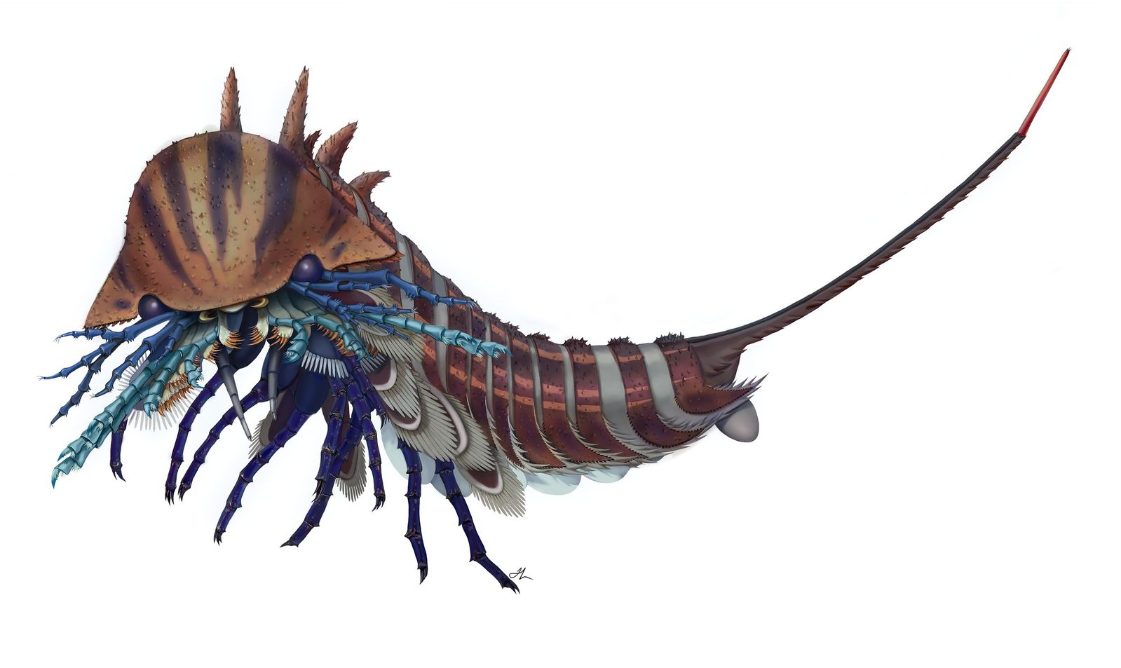This Fierce 508-Million-Year-Old Relative of Scorpions Had Five Jaws ...