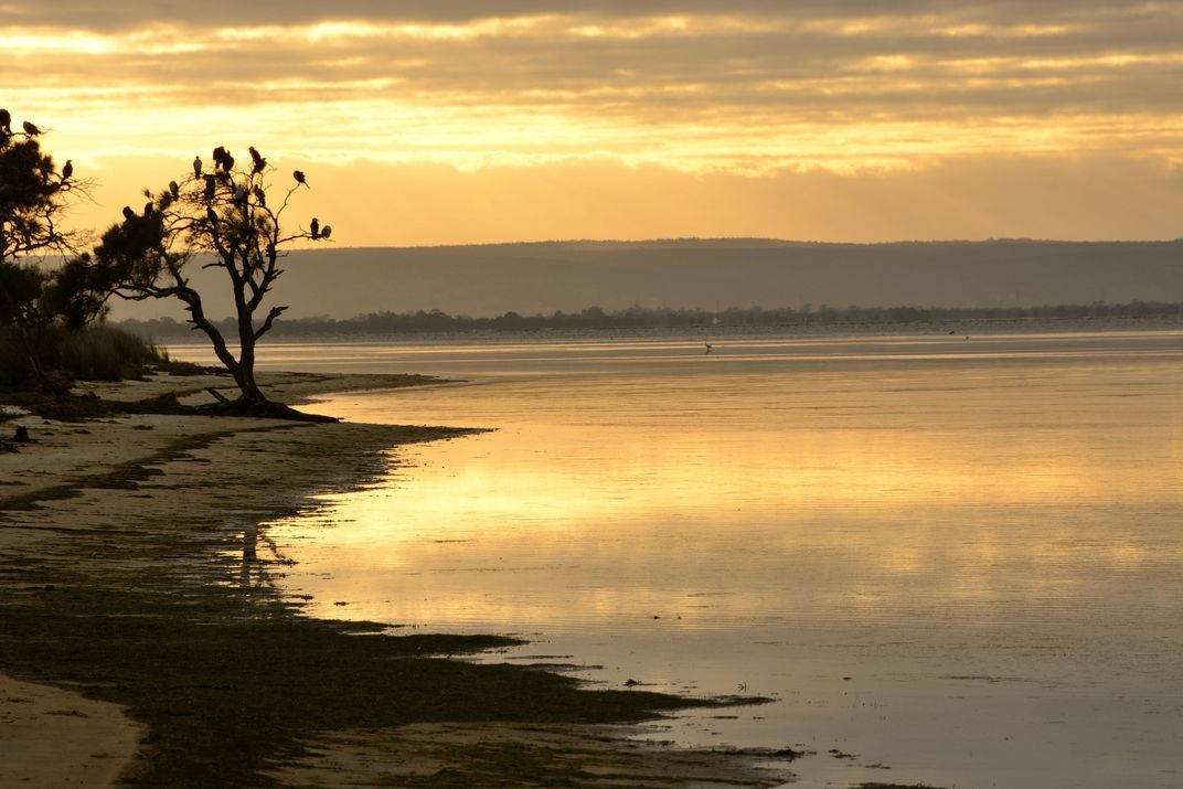 Golden Morning No.2 | Smithsonian Photo Contest | Smithsonian Magazine