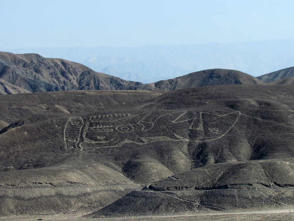 Ancient Orca Geoglyph Rediscovered in Peru