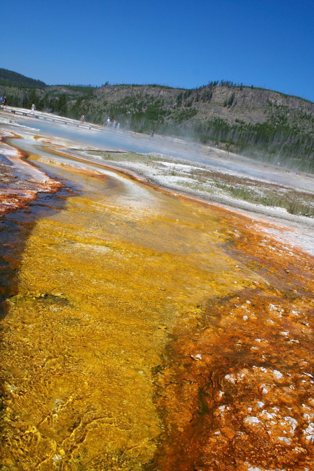 Colors of Yellowstone National Park | Smithsonian Photo Contest ...
