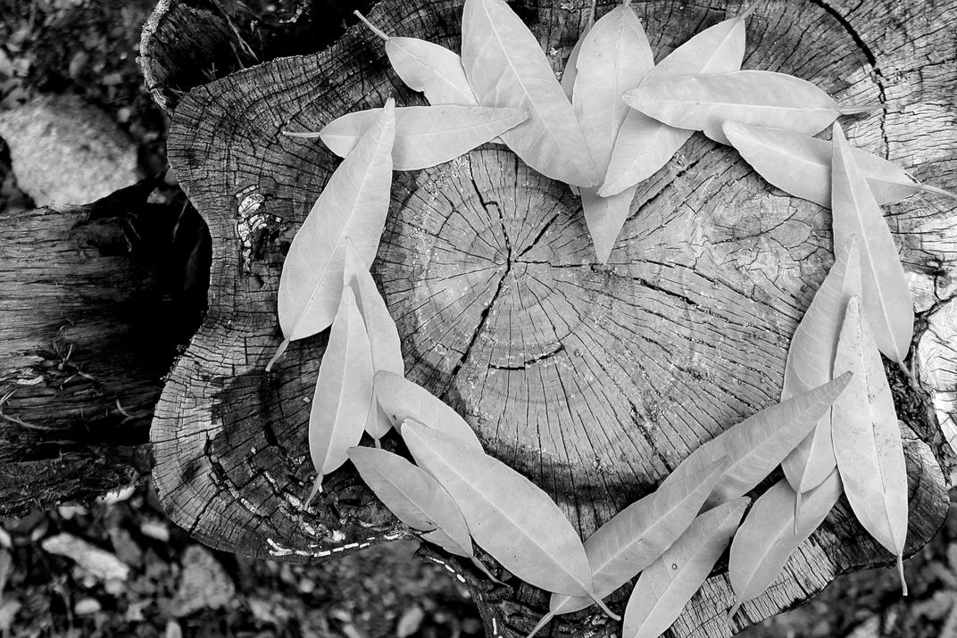 Andy Goldsworthy Inspired Art