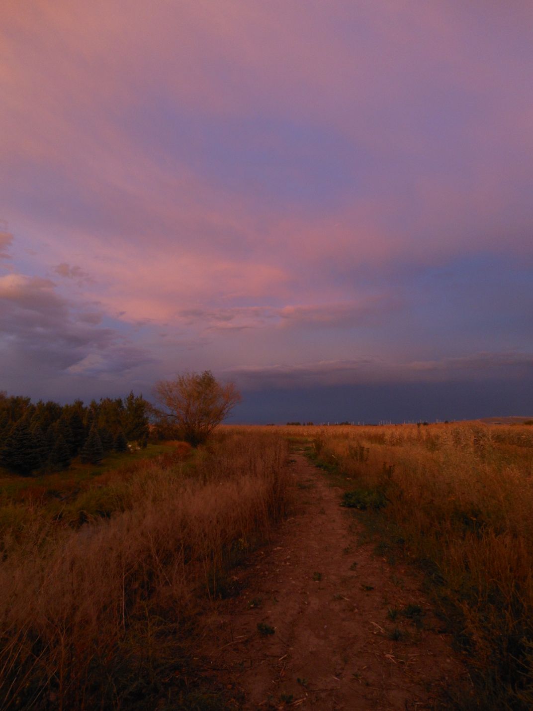 Path at Dusk | Smithsonian Photo Contest | Smithsonian Magazine