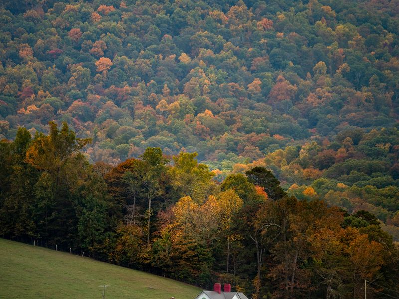 East Tennessee Fall | Smithsonian Photo Contest | Smithsonian Magazine