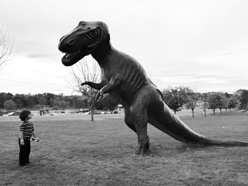 Little Boy and Dinosaur | Smithsonian Photo Contest | Smithsonian Magazine