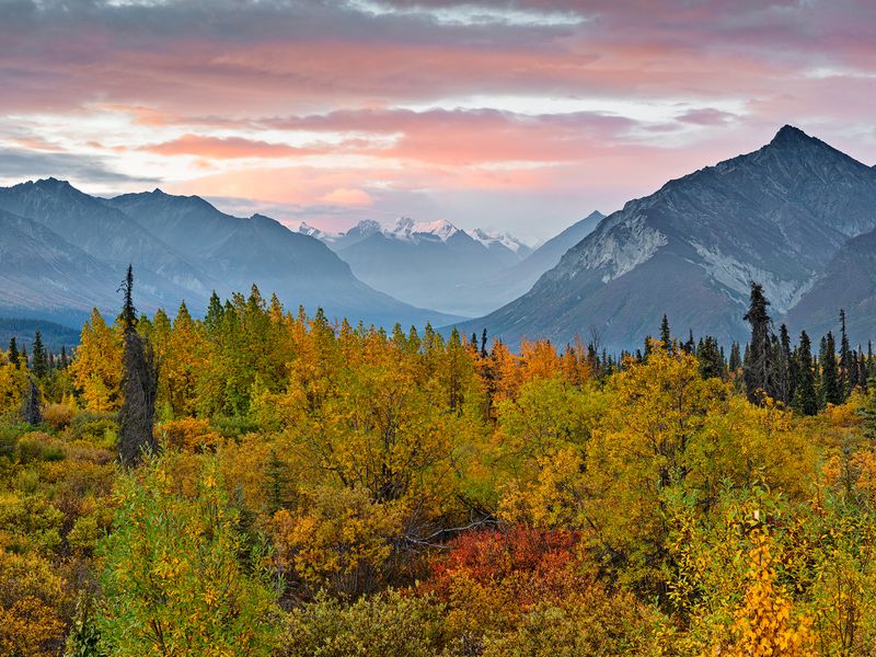 Autumn in Alaska | Smithsonian Photo Contest | Smithsonian Magazine