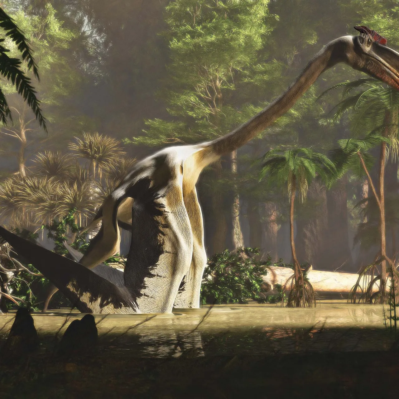 largest winged creature ever