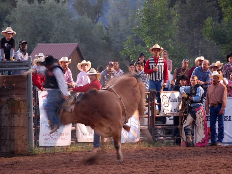Cowboy on a Ride | Smithsonian Photo Contest | Smithsonian Magazine