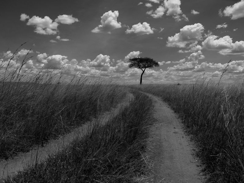 Path under the clouds | Smithsonian Photo Contest | Smithsonian Magazine