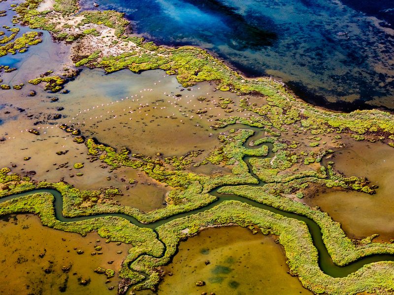 Oasis | Smithsonian Photo Contest | Smithsonian Magazine