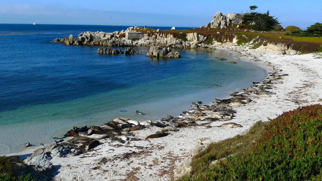 This is an exclusive beach along the Monterey, California coast, only ...