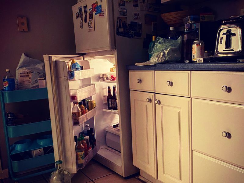 Home Alone/Basement Apartment | Smithsonian Photo Contest | Smithsonian ...
