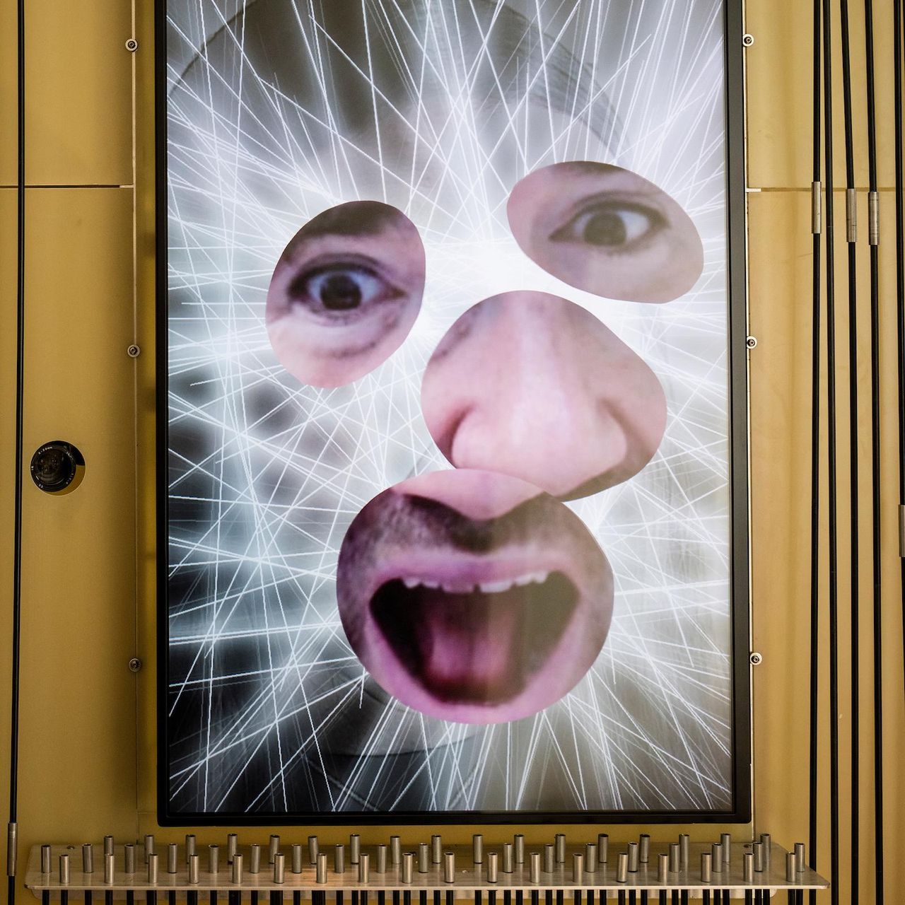 most reproduced face