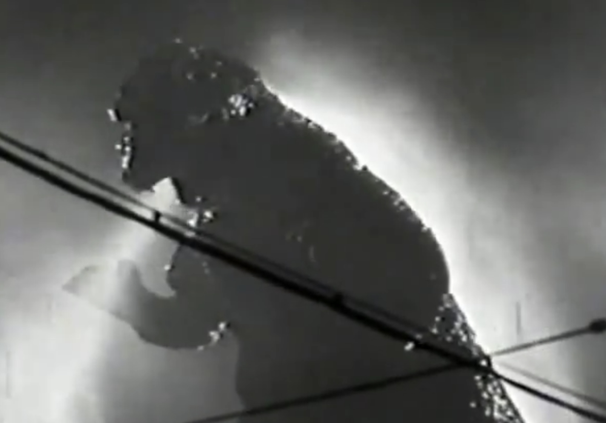 Everyone's Favorite Irradiated Dinosaur: Godzilla