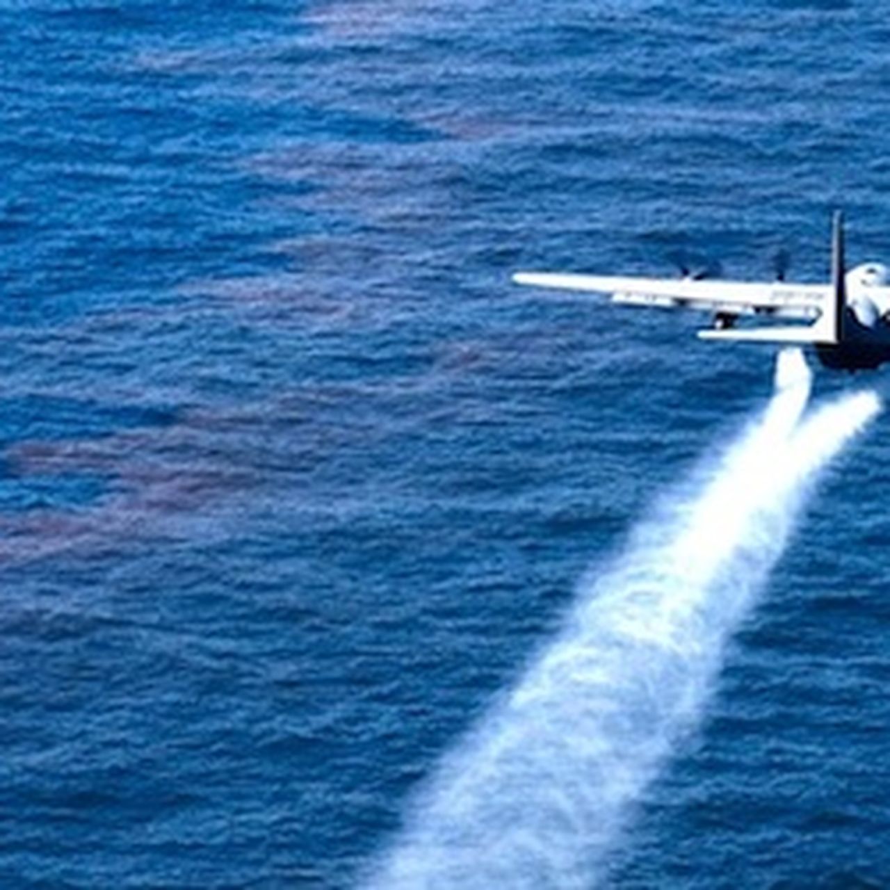 Deepwater Horizon Oil Spill Cleanup Dirty Work: Researcher Examines