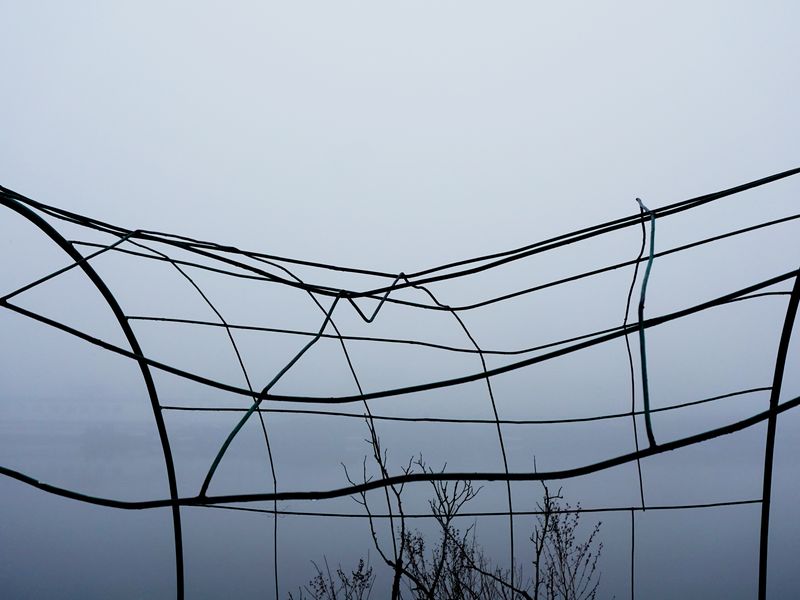 Wire structure located in harbor | Smithsonian Photo Contest ...