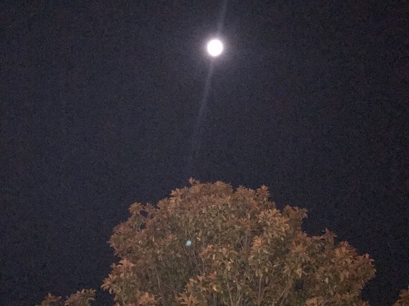 Nov 13 2017 Super Moon in DC | Smithsonian Photo Contest | Smithsonian ...