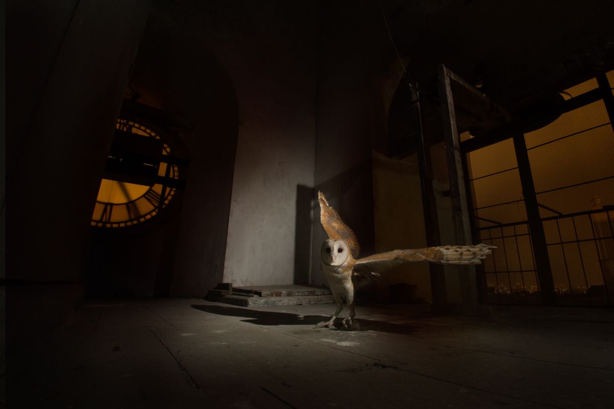 Julia Binswanger - Journalist Profile - Intelligent Relations