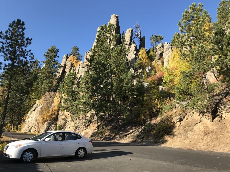 Needles in Custer State Park in Fall | Smithsonian Photo Contest ...