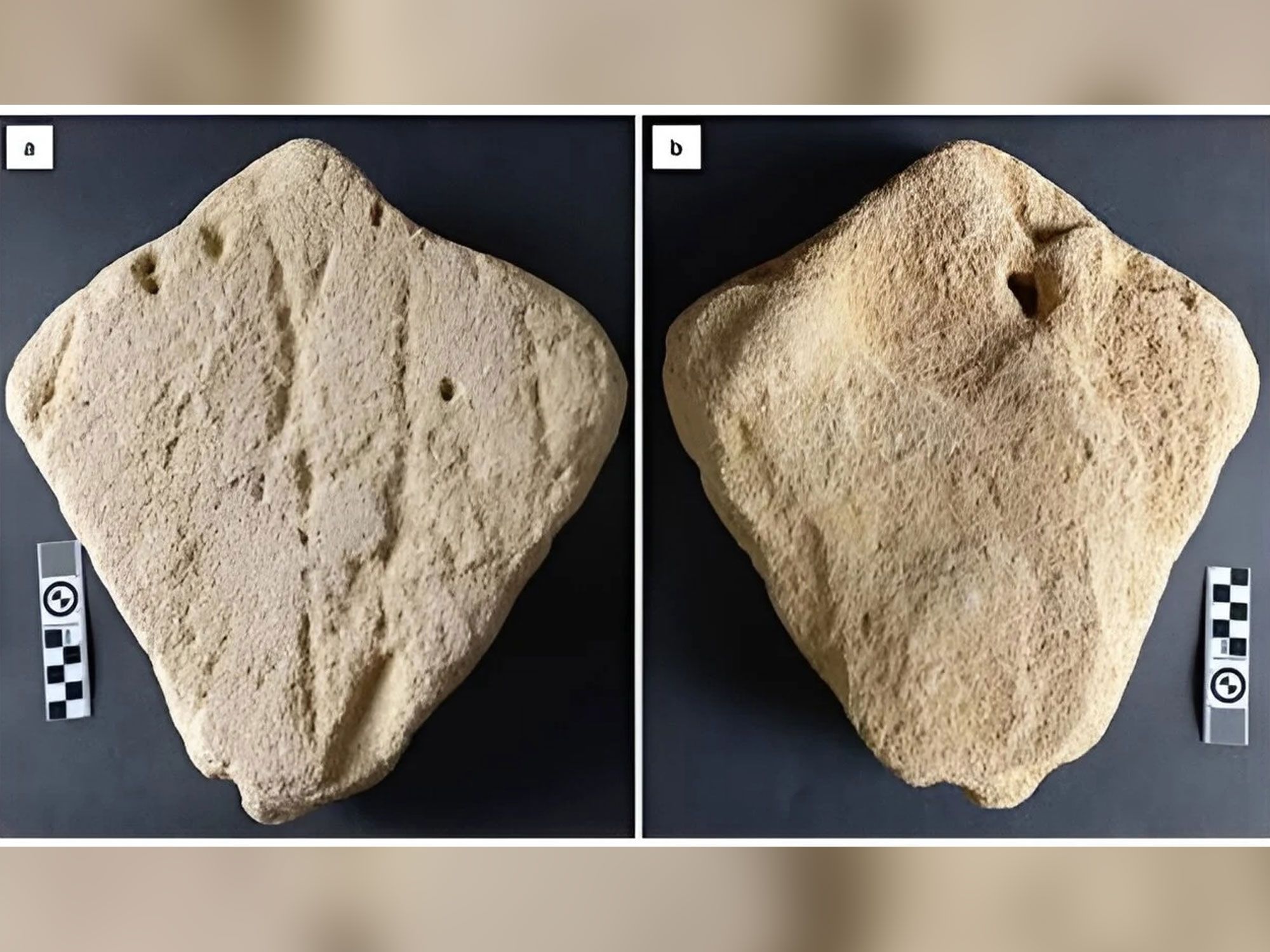 Is This Stingray-Shaped Rock the Oldest Known Animal Art?