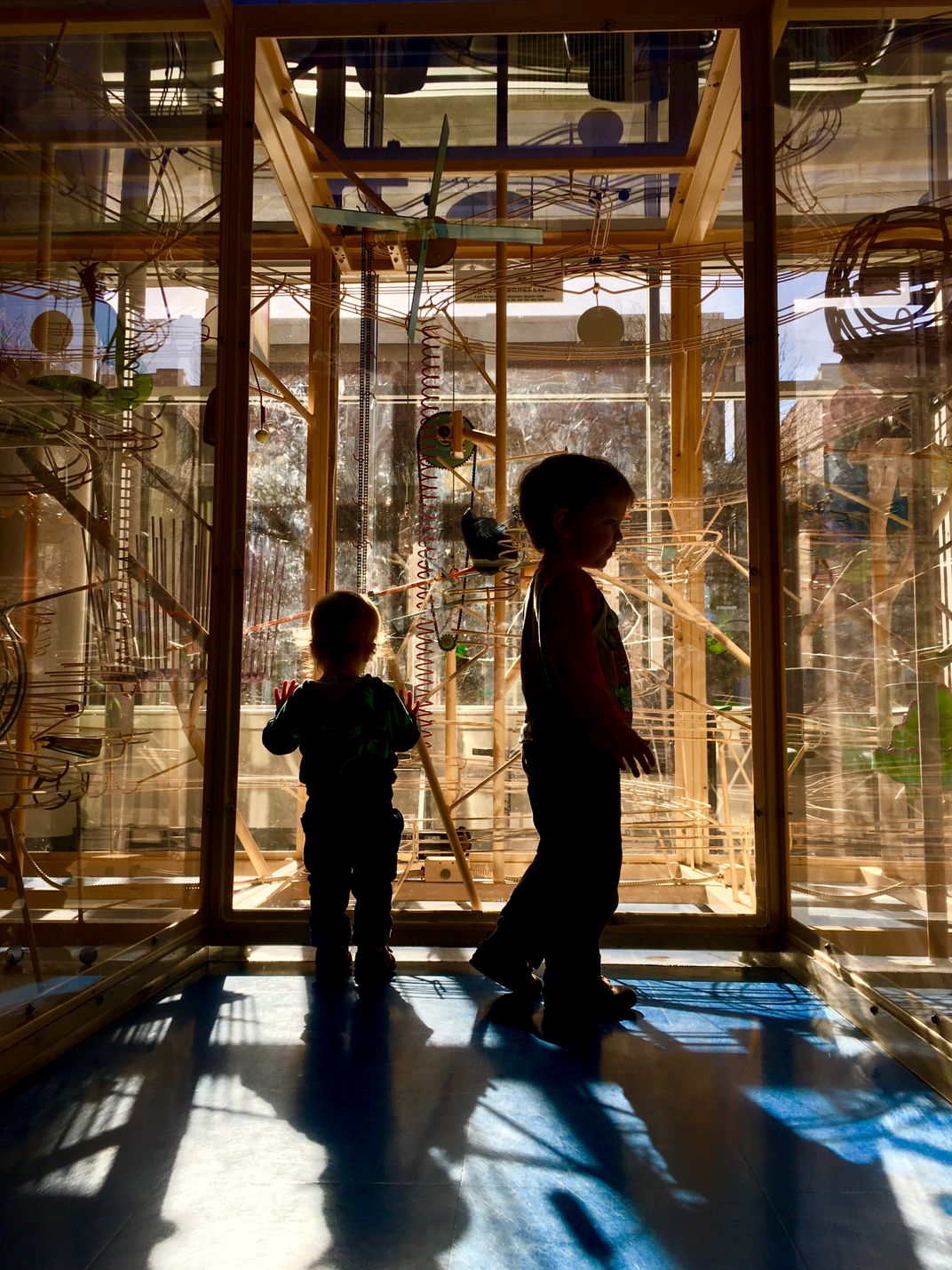 The Age Of Wonder | Smithsonian Photo Contest | Smithsonian Magazine