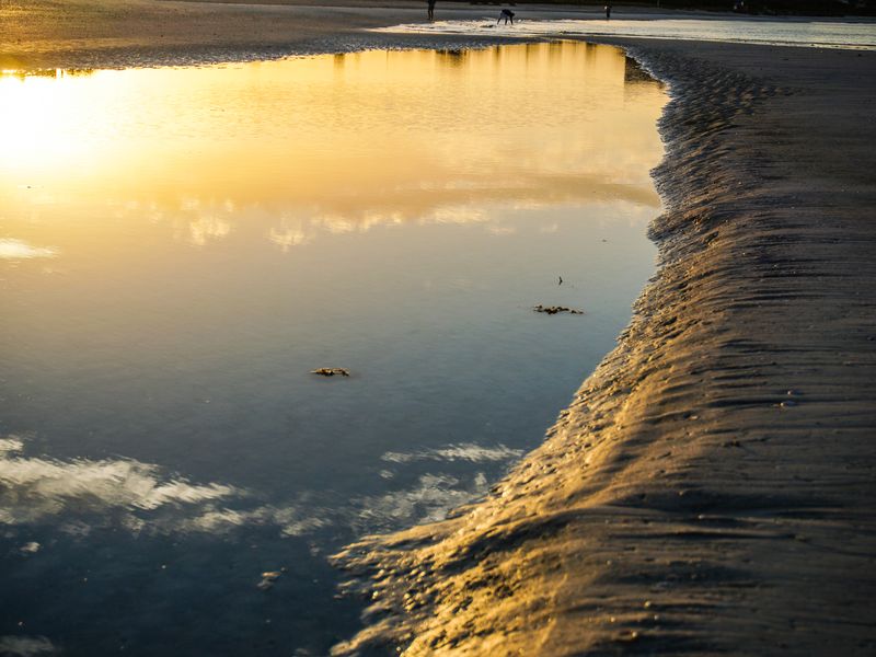 Interesting View of a Beach Puddle | Smithsonian Photo Contest ...