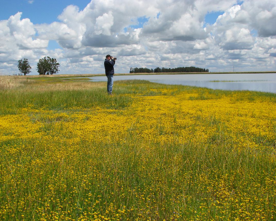 The photographer being photographed in the wildflowers at Jepson ...